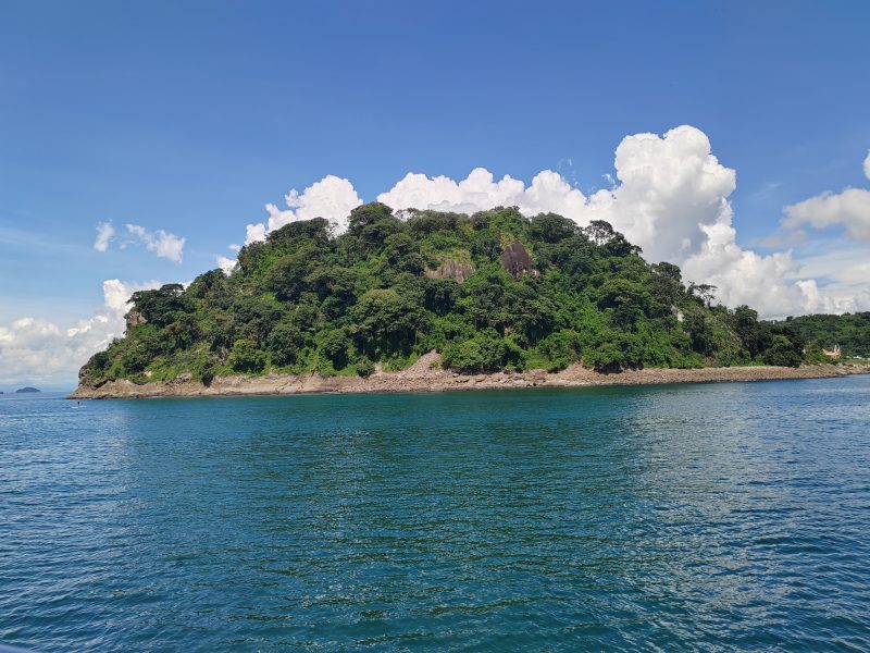 ¿Cómo llegar a Isla Taboga en Ferry? | Yates Taboga