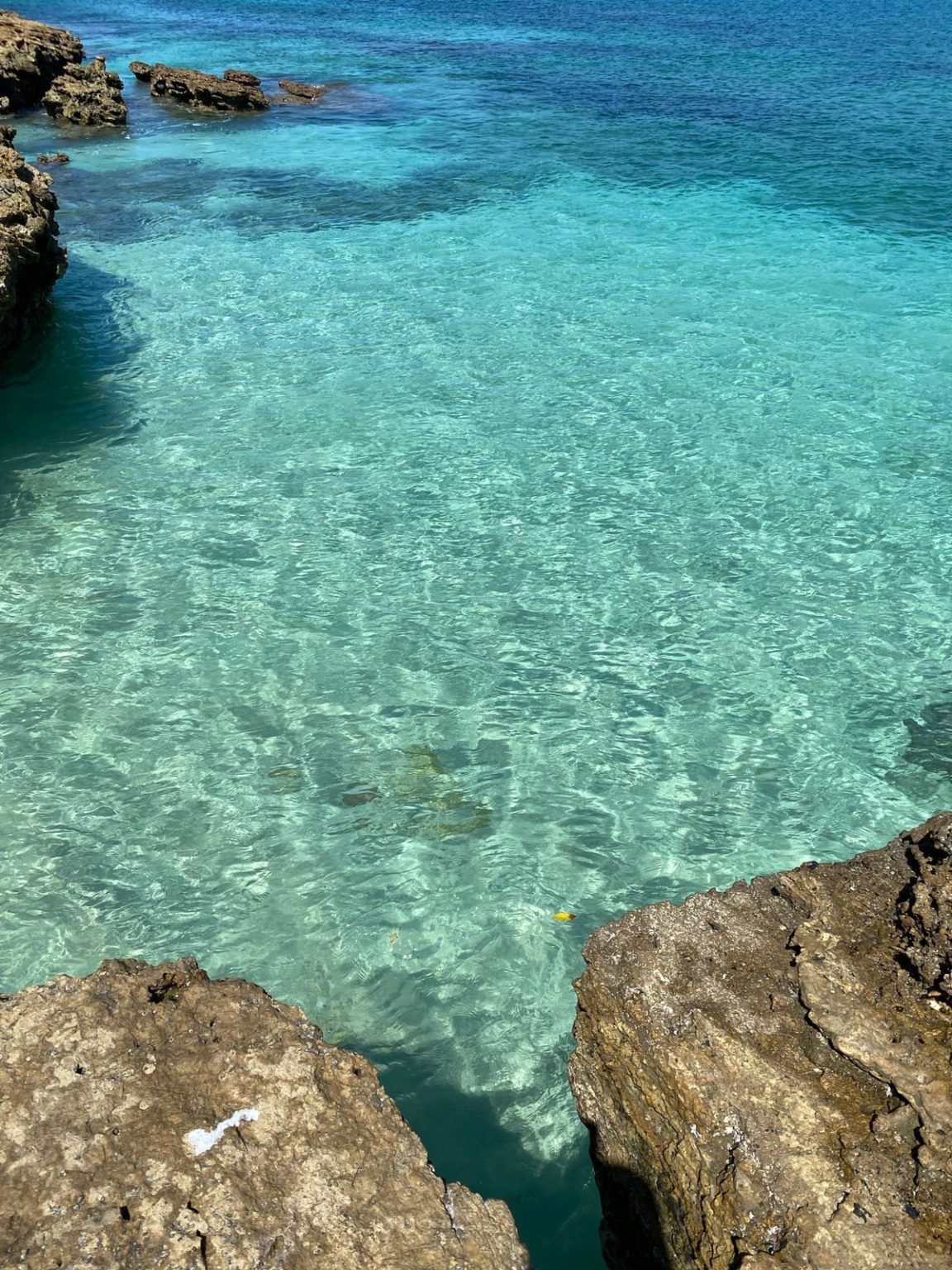 What to do on Mogo Mogo Island? | Yachts Taboga