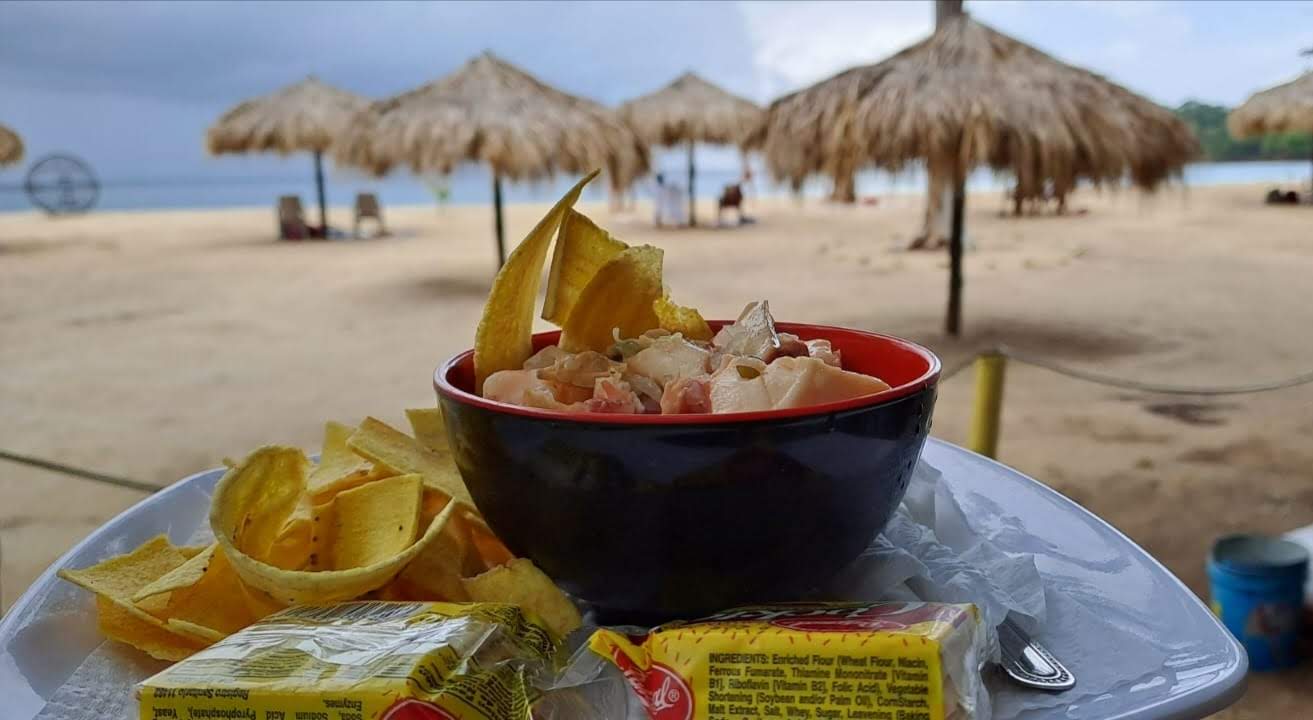 Mogo Mogo Island Daytrip – Pearl Islands | Yachts Taboga