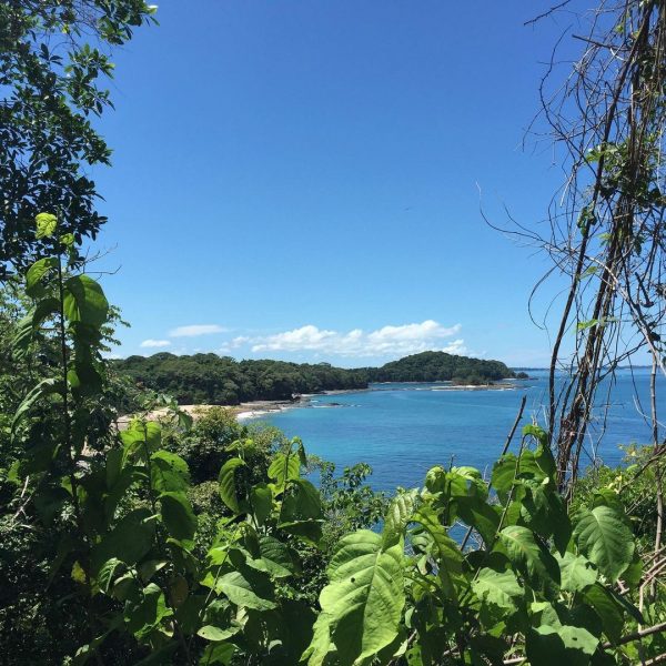 Tour Privado Archipiélago de las Perlas | Yates Taboga