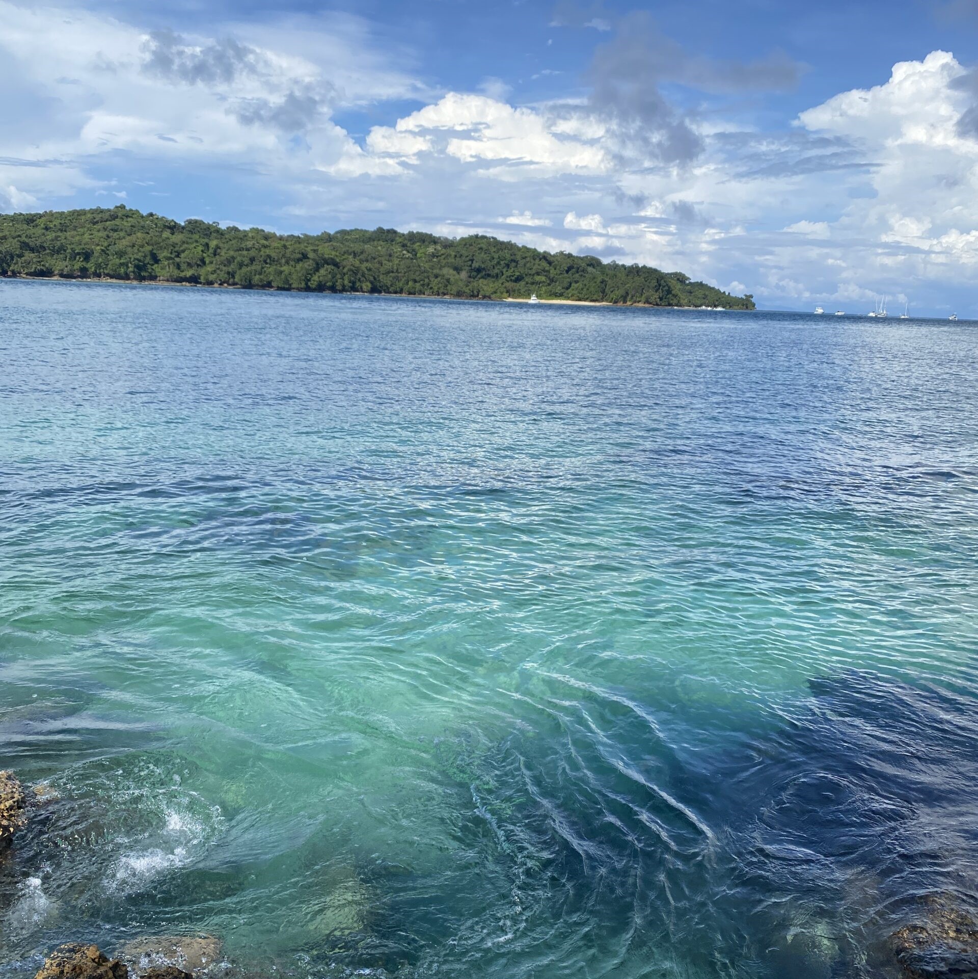 ¿Cómo llegar a la Isla Mogo Mogo? | Yates Taboga